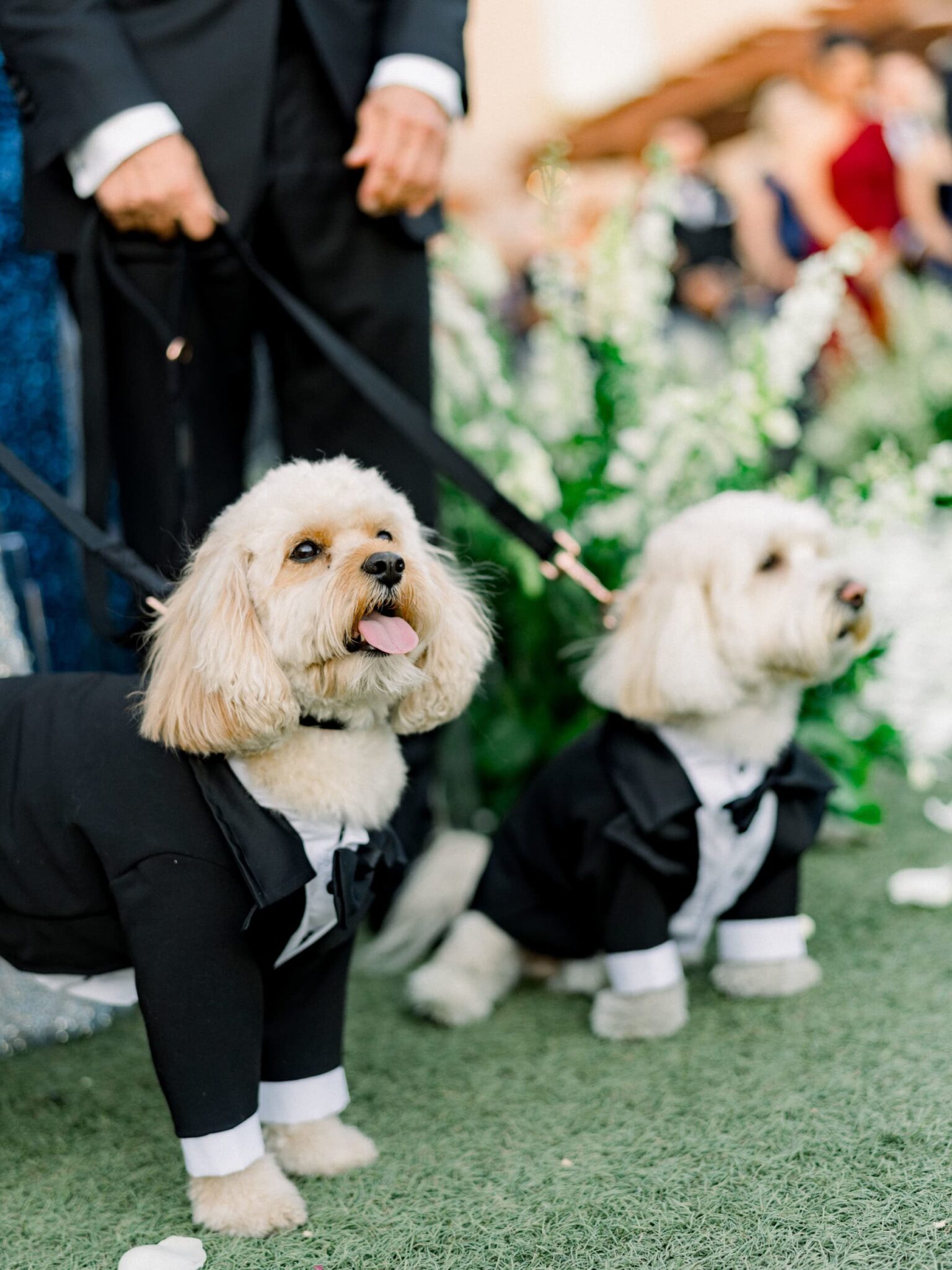 All White Wedding | Imoni Events